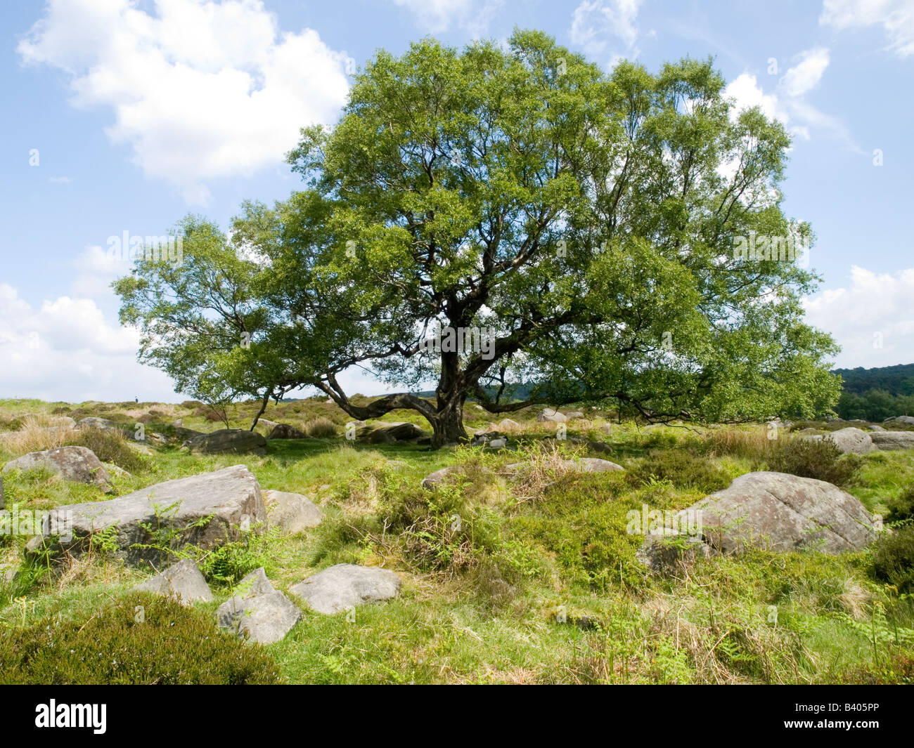Padley mill hi-res stock photography and images - Alamy