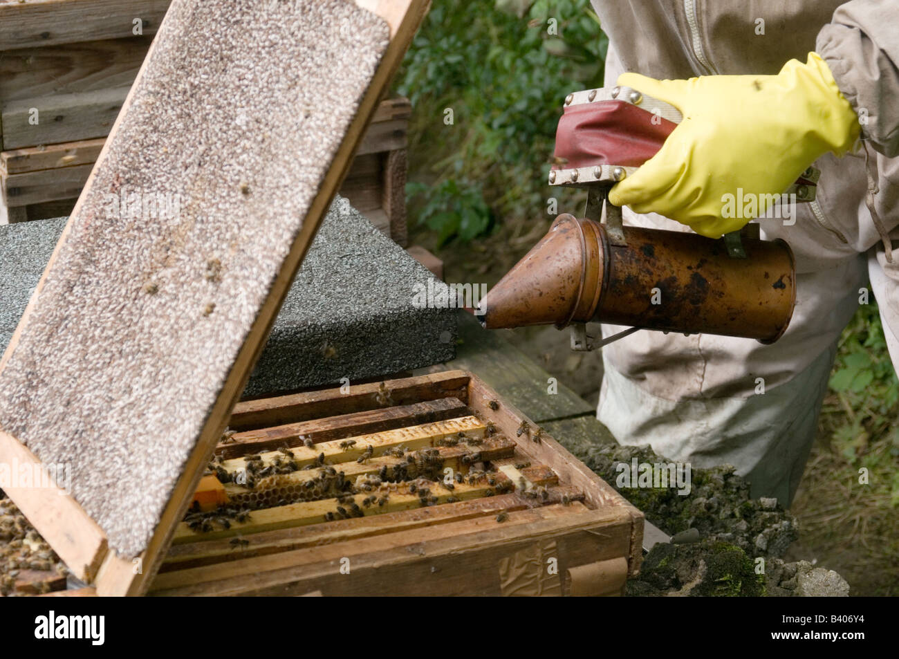 Beehives beehive beekeeping hi-res stock photography and images - Alamy