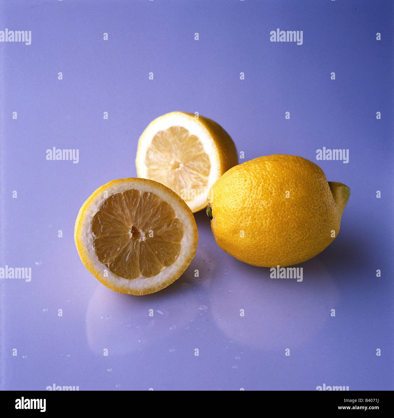 Cirtus limonium hi-res stock photography and images - Alamy