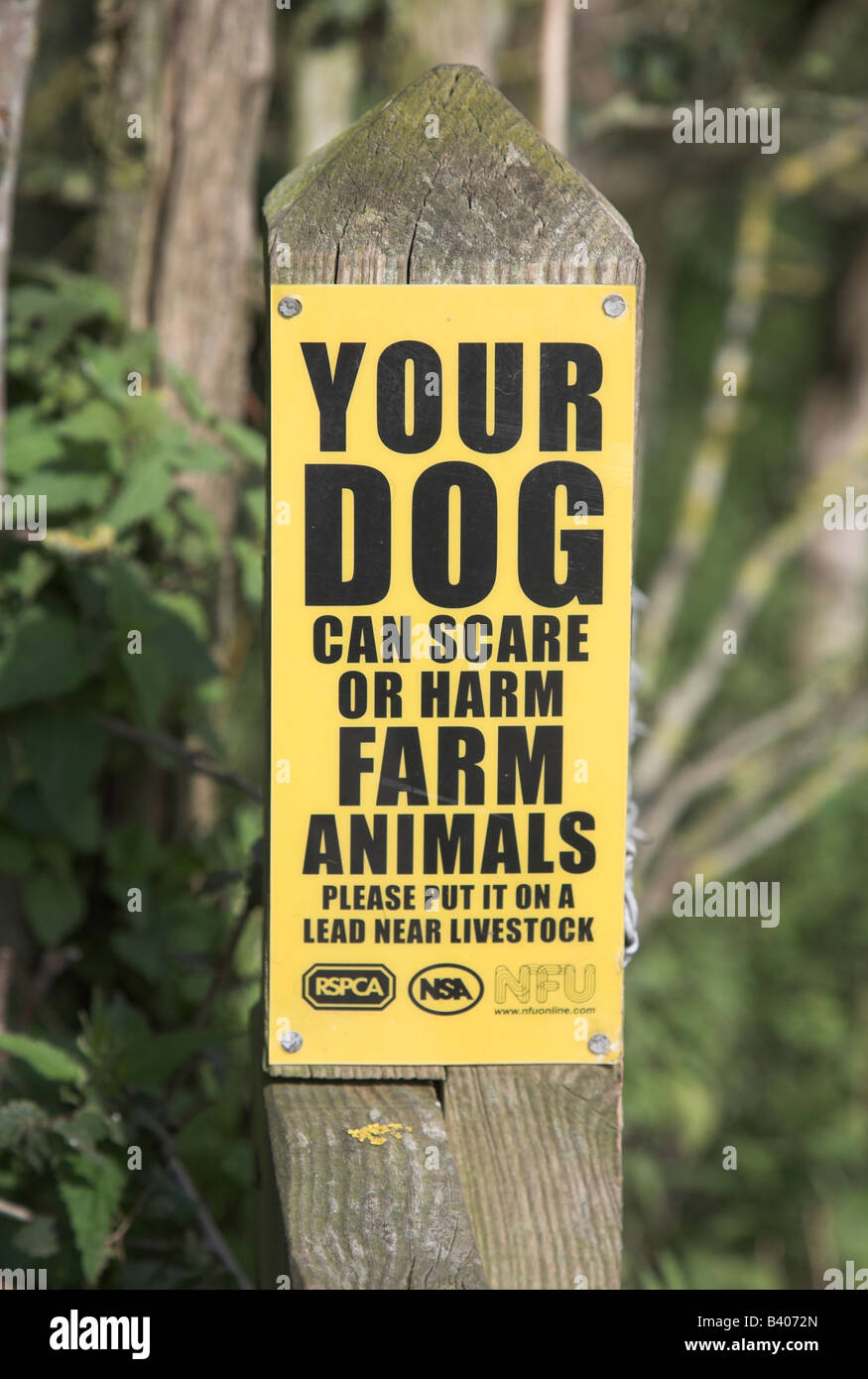 Your dog can harm farm animals hi-res stock photography and images - Alamy