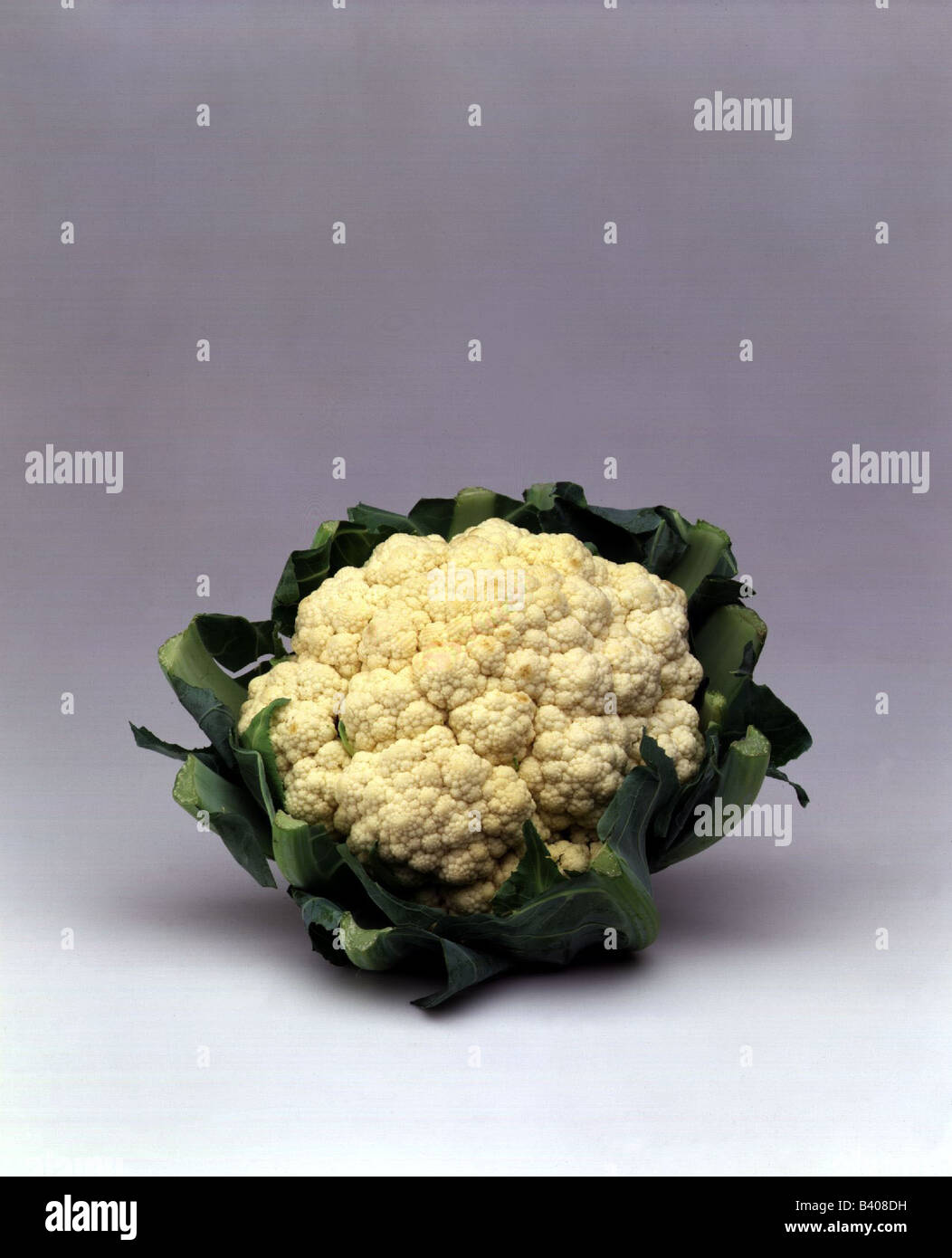 botany, vegetable, Cauliflower, (Brassica oleracea), head, studioshot ...