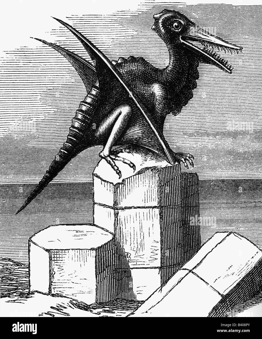 prehistory, animals, saurs, Pterodactylus, wood engraving, 19th century ...