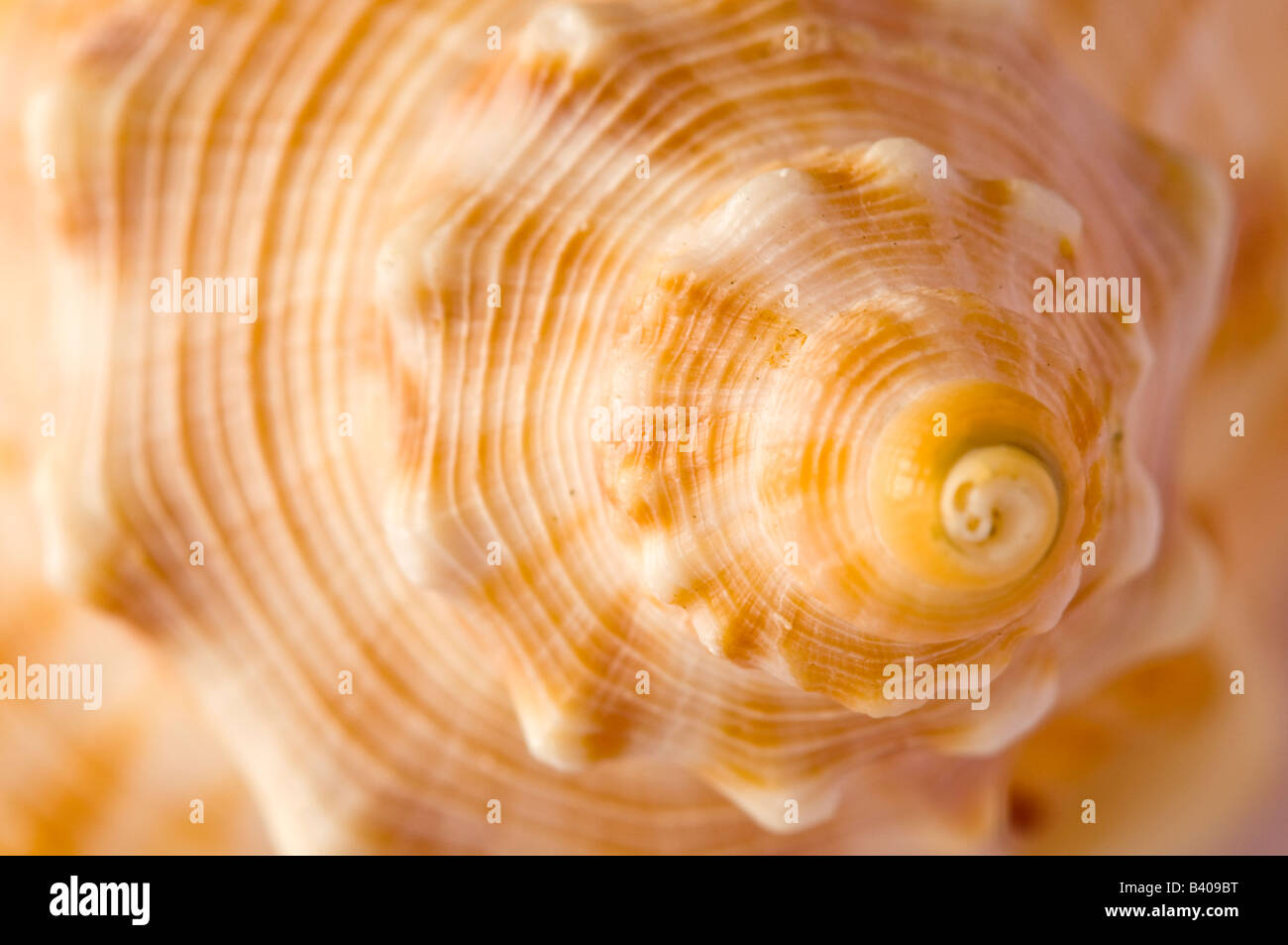 Perspective detail orange hi-res stock photography and images - Alamy