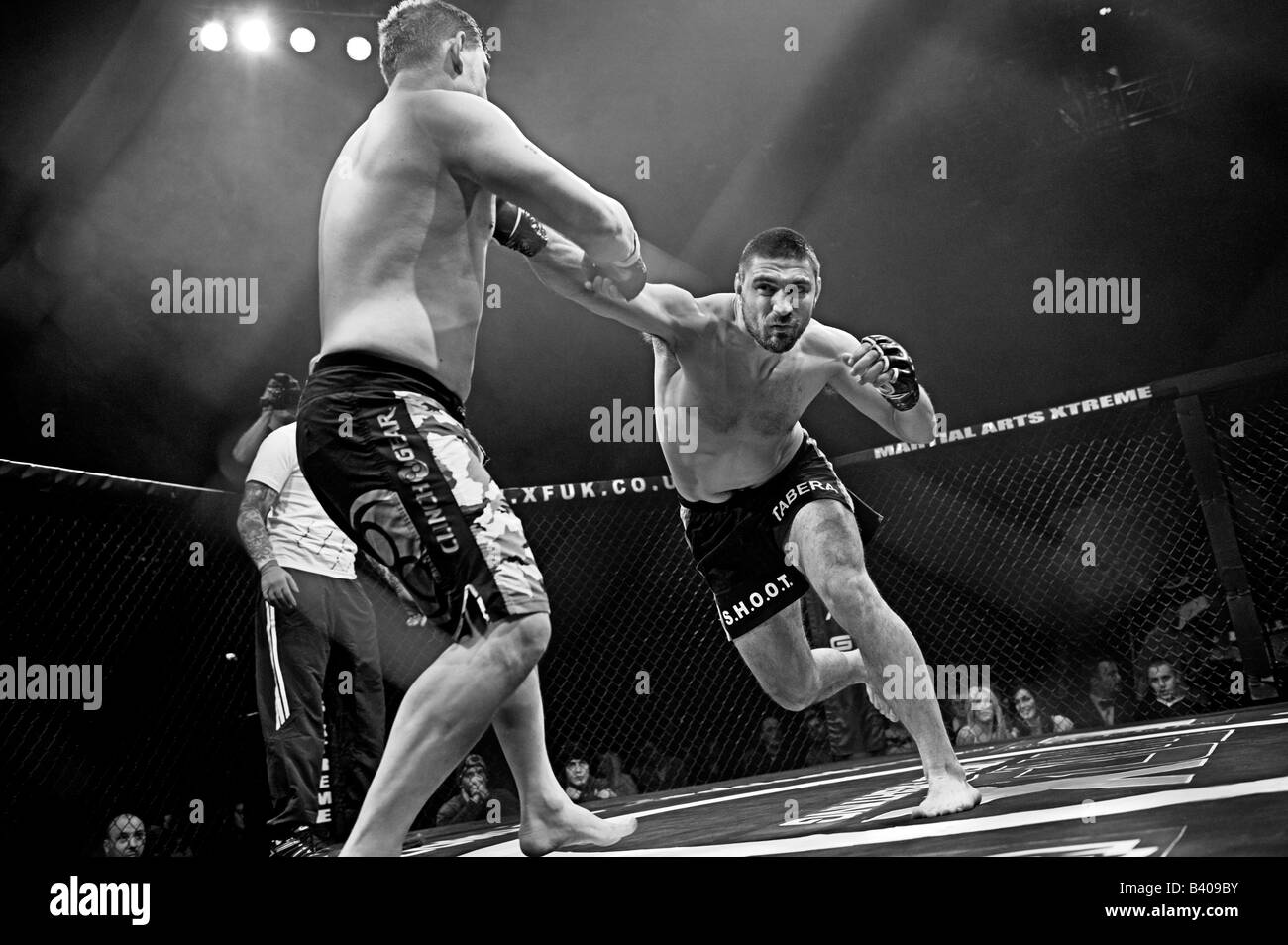 Cage fighting uk hi-res stock photography and images - Alamy