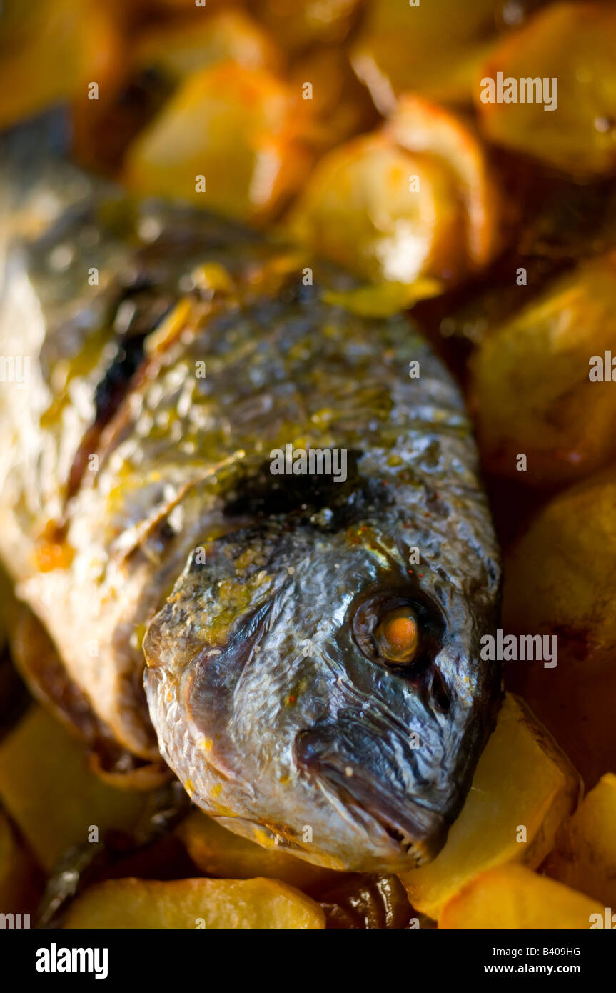 gilthead bream fish roasted in a tray Stock Photo - Alamy