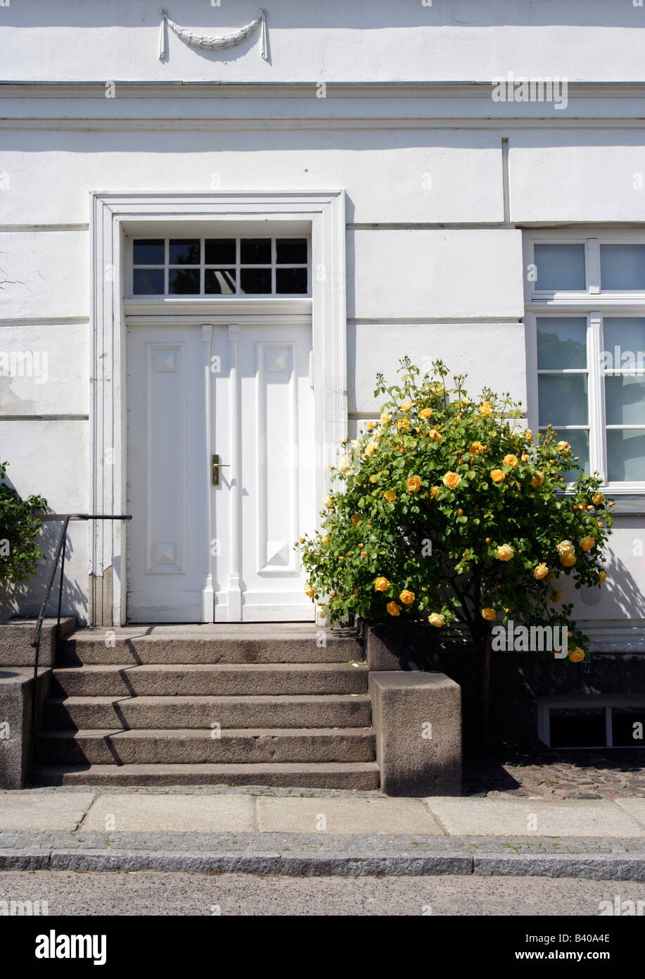 Germany, Putbus, Ruegen Island, rosebush at front door of an old house ...