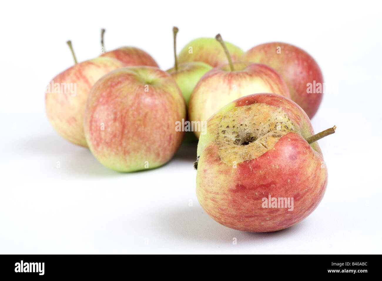 Bad apple hi-res stock photography and images - Alamy