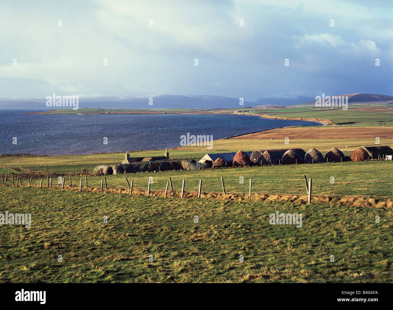 dh Swanbister Bay ORPHIR ORKNEY Scottish Croft farm fields Scapa Flow ...