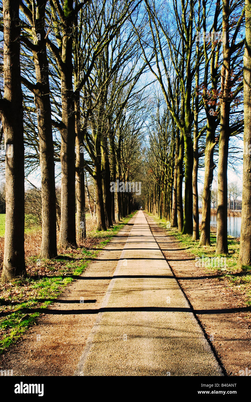 Eindhoven cycle hi-res stock photography and images - Alamy