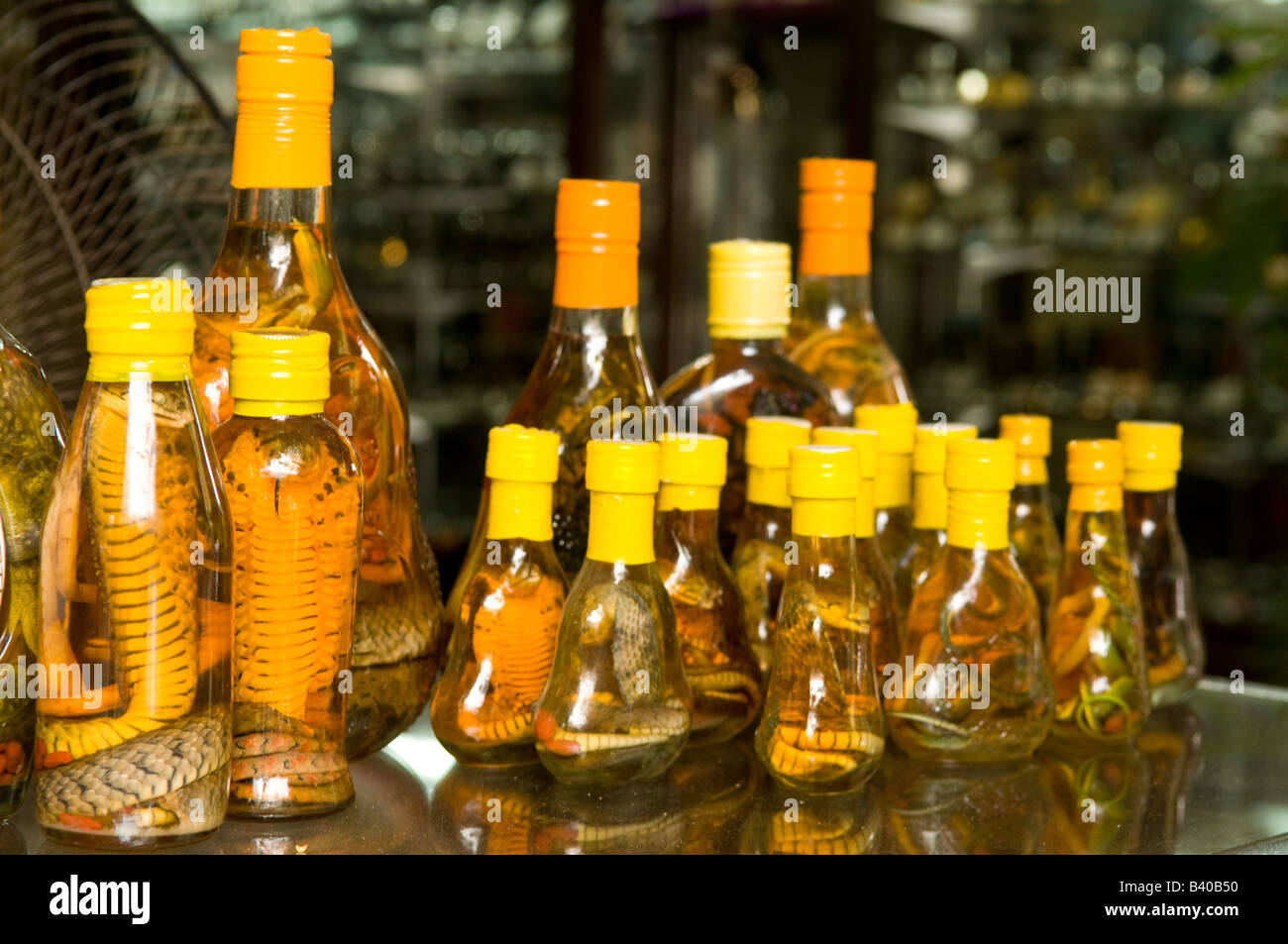 Bottled snakes in liquor Stock Photo - Alamy