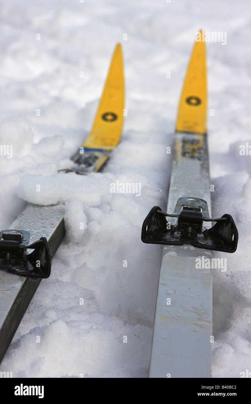 A pair of cross country skis resting in the snow Stock Photo - Alamy