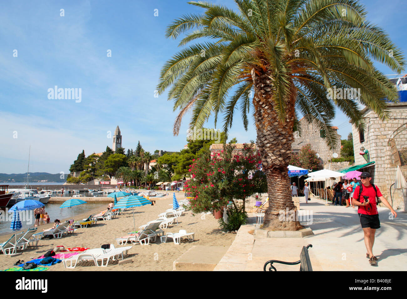 Lopud island beach hi-res stock photography and images - Alamy