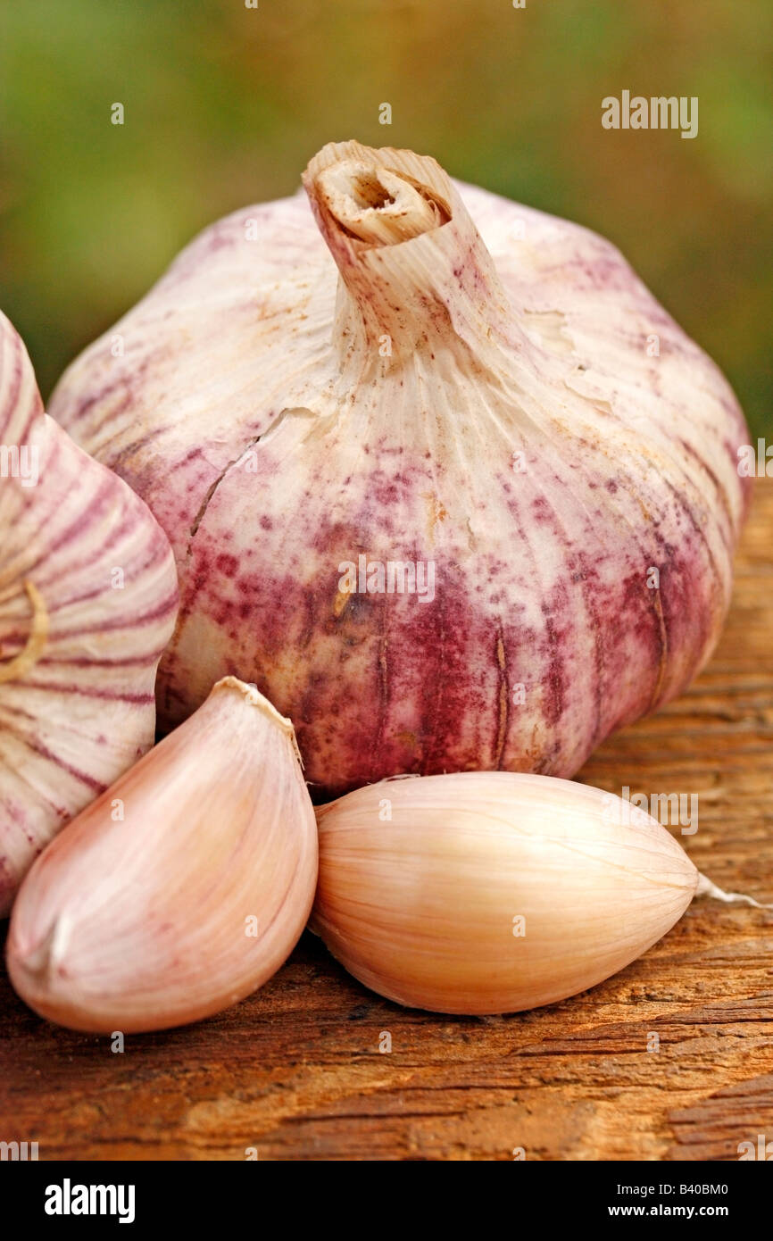 Garlic in natural background Stock Photo - Alamy