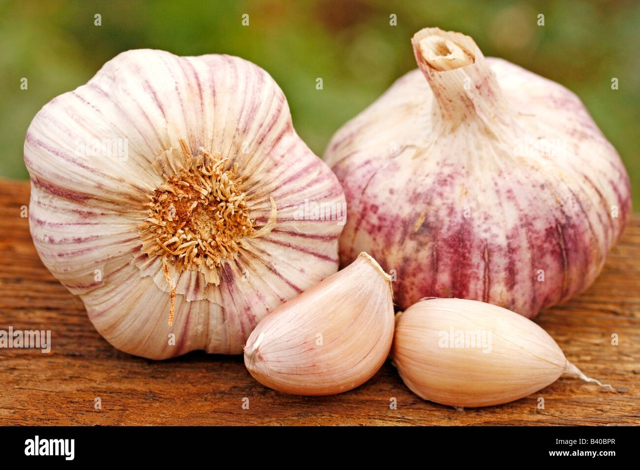 Garlic in natural background Stock Photo - Alamy
