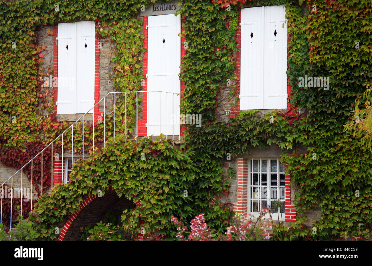Ivy clad house with white shuttered windows and door, St Cast le Guildo ...