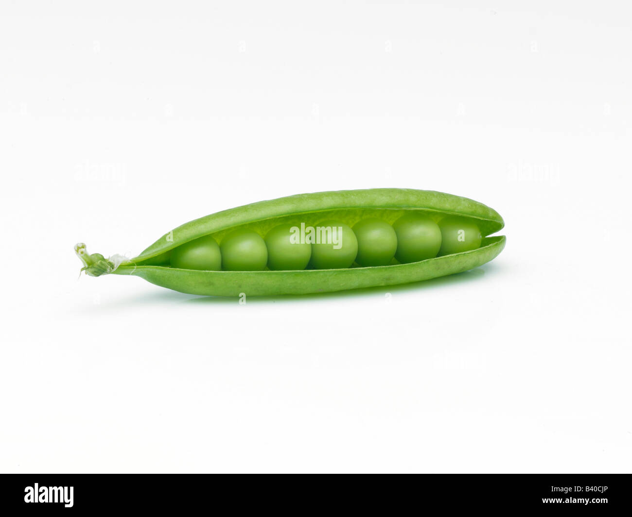Seven peas in split open pod lying on side Stock Photo - Alamy