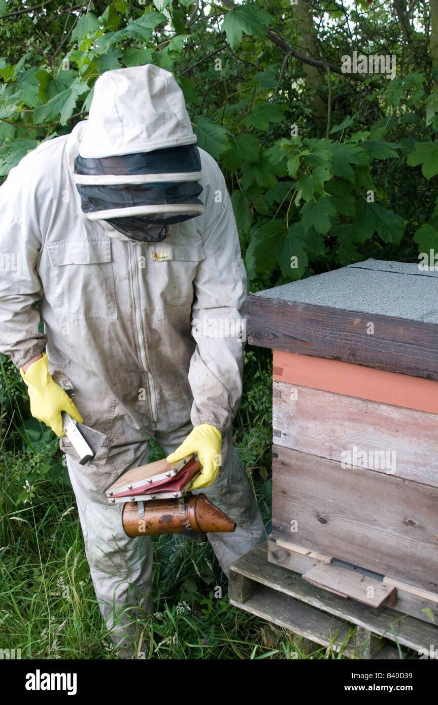 Bee hives hi-res stock photography and images - Alamy