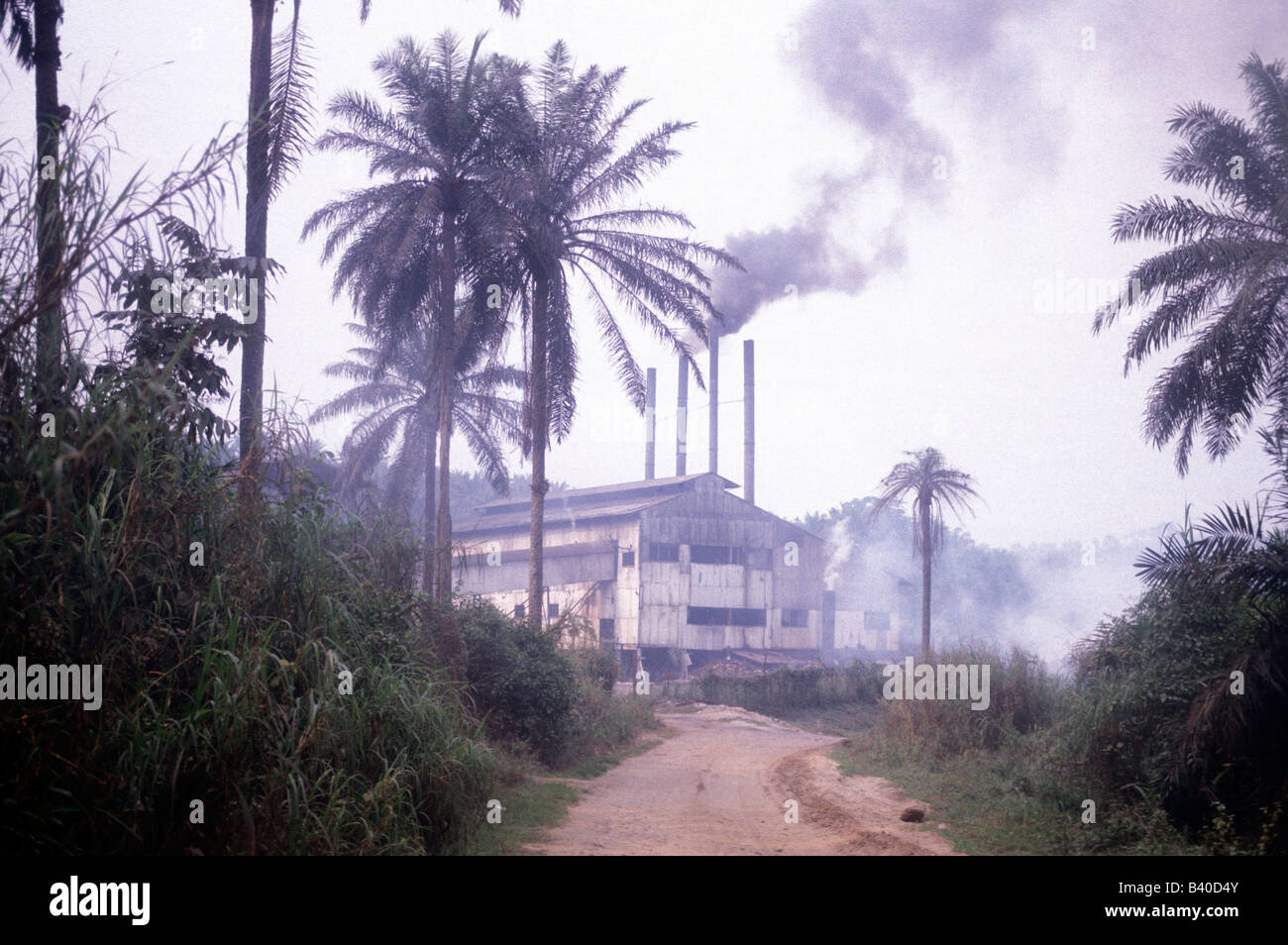 Unilever oil palm processing Kasai region Democratic Republic of Congo ...