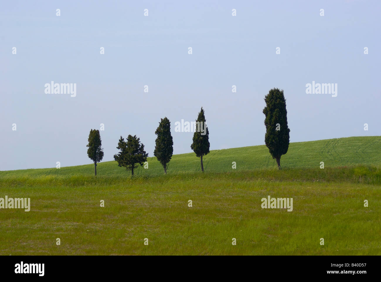 Landscape in Tuscany, Italy, Europe Stock Photo - Alamy