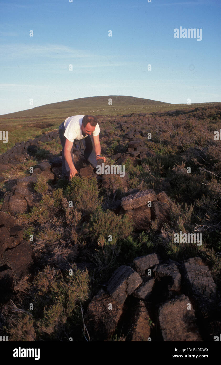 Local man stacking peat bricks. North Uist, Outer Hebrides, Scotland ...