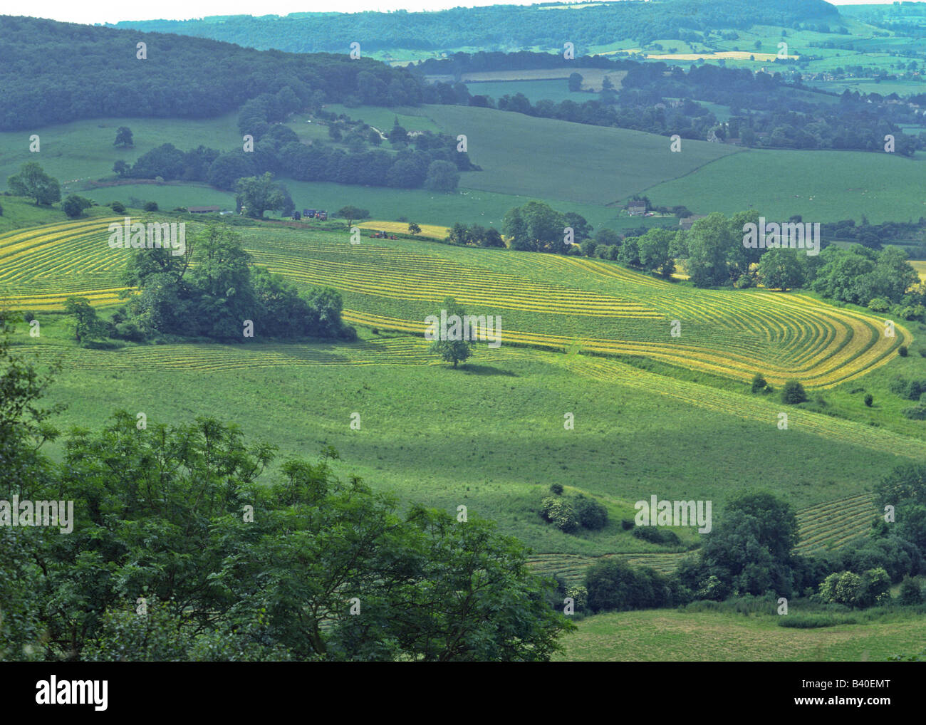 Harvest time landscape, Gloucestershire, Cotswolds, England, UK, Europe ...