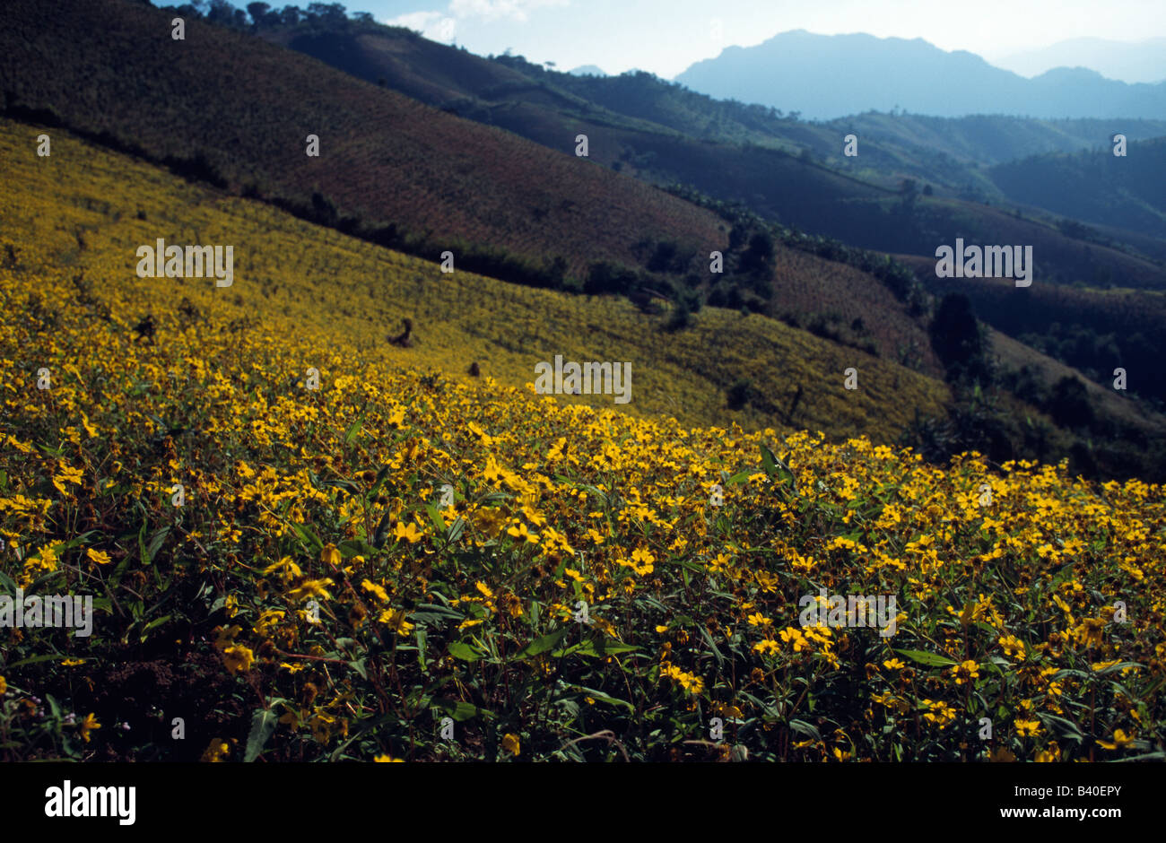 Landscape near kalaw hi-res stock photography and images - Alamy