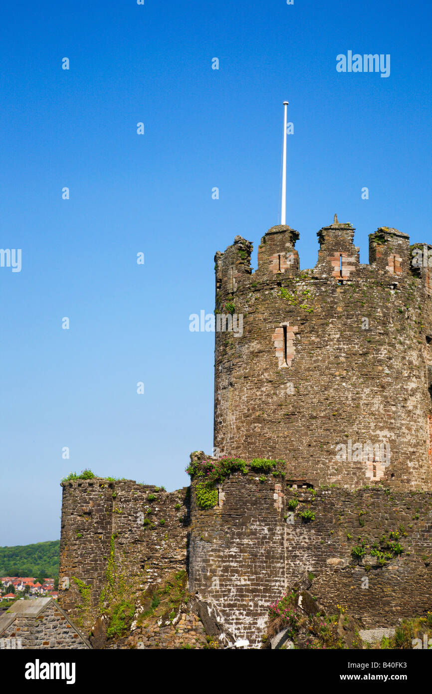 Towers of Conway Castle Conway Wales Stock Photo - Alamy