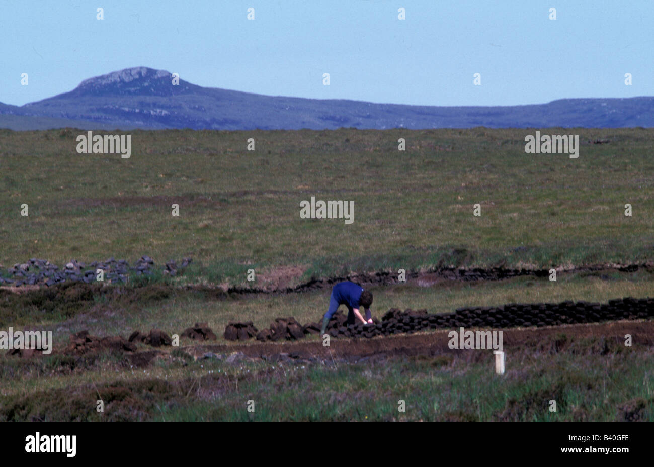 Local woman stacking peat bricks. North Uist, Outer Hebrides, Scotland ...