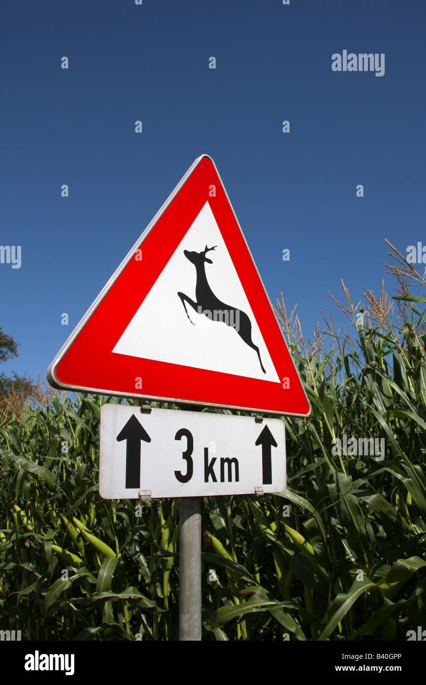 game passes;runway;trail;game pass Stock Photo - Alamy