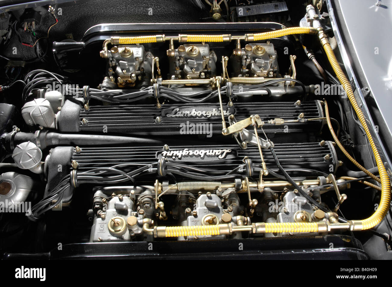 Motor Lamborghini 350 Gtv