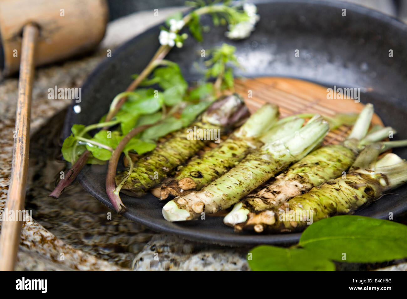 Fresh wasabi roots on display in Izushi Japan Stock Photo - Alamy