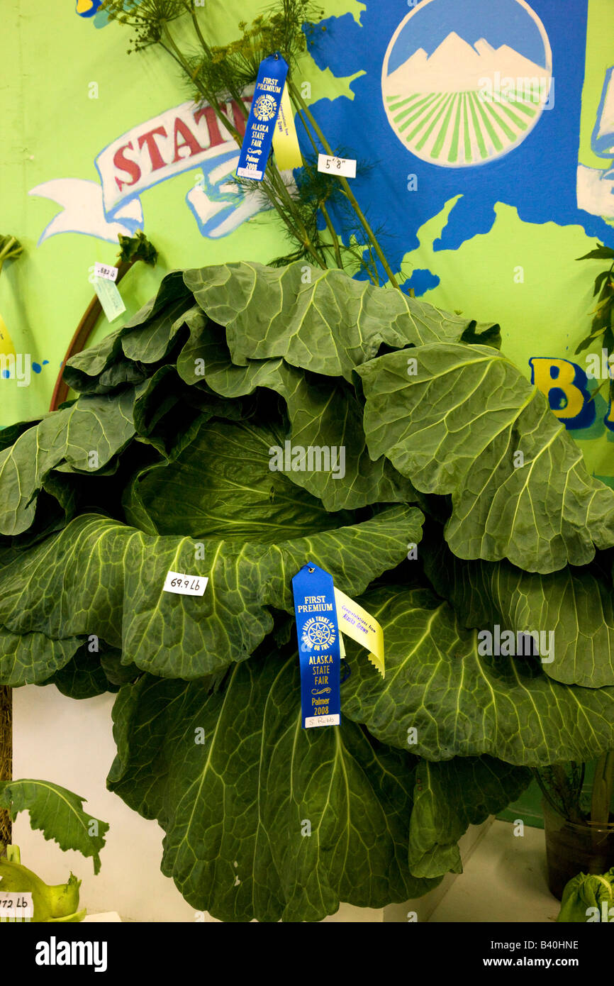 Alaska state fair hi-res stock photography and images - Alamy