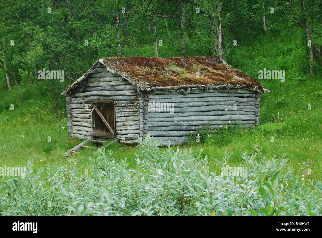 Hay drying barn, Hemavan, Vasterbottenslan, Swedish Lapland, Sweden ...
