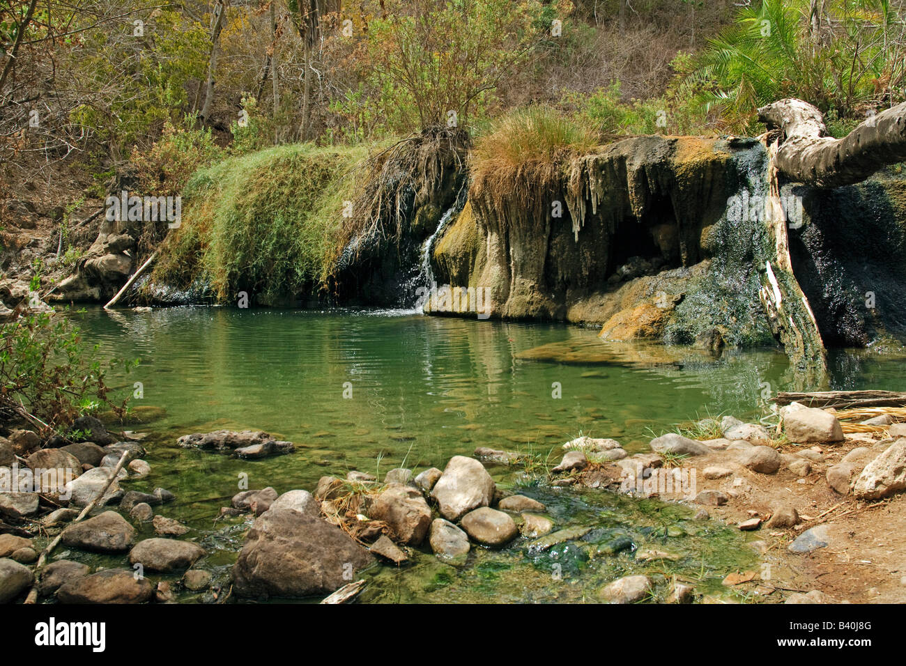Maji Moto Hot springs at Selous Game Reserve Tanzania Stock Photo - Alamy