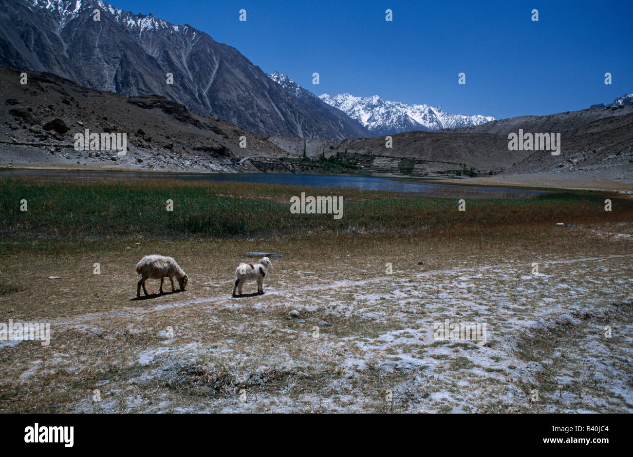 Borit Lake near Ghulkin, Upper Hunza valley, Pakistan Stock Photo - Alamy