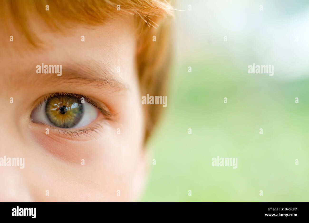 closeup of a boy s eyes with the photographer reflected on the iris ...