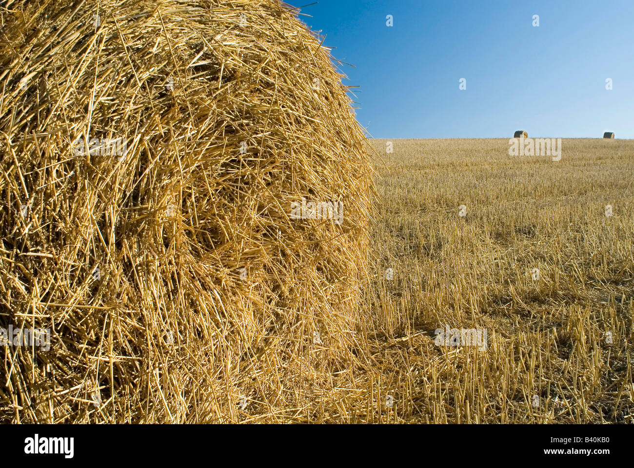Straw ball on the field Stock Photo - Alamy