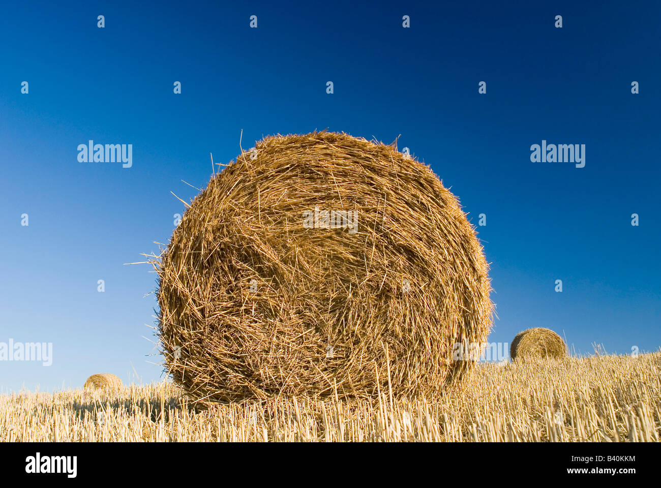 Straw ball on the field Stock Photo - Alamy