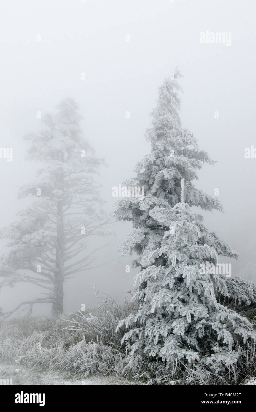 Coated with snow hi-res stock photography and images - Alamy