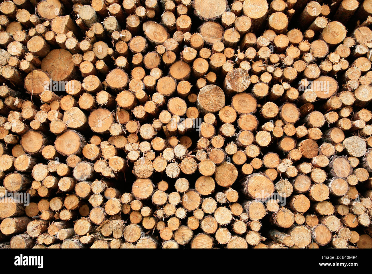 stack of wood Stock Photo - Alamy