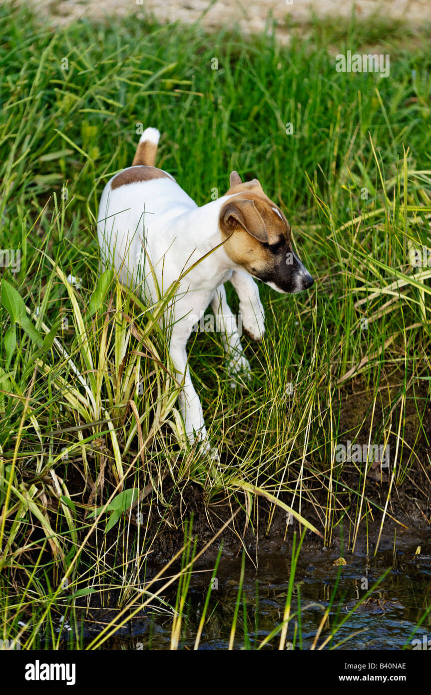 Exploring the shore hi-res stock photography and images - Alamy