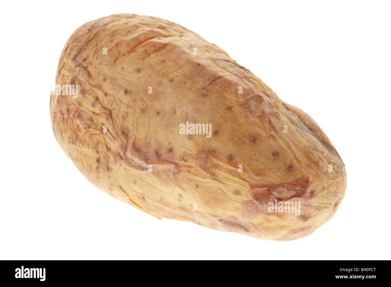 Plain jacket potato hi-res stock photography and images - Alamy