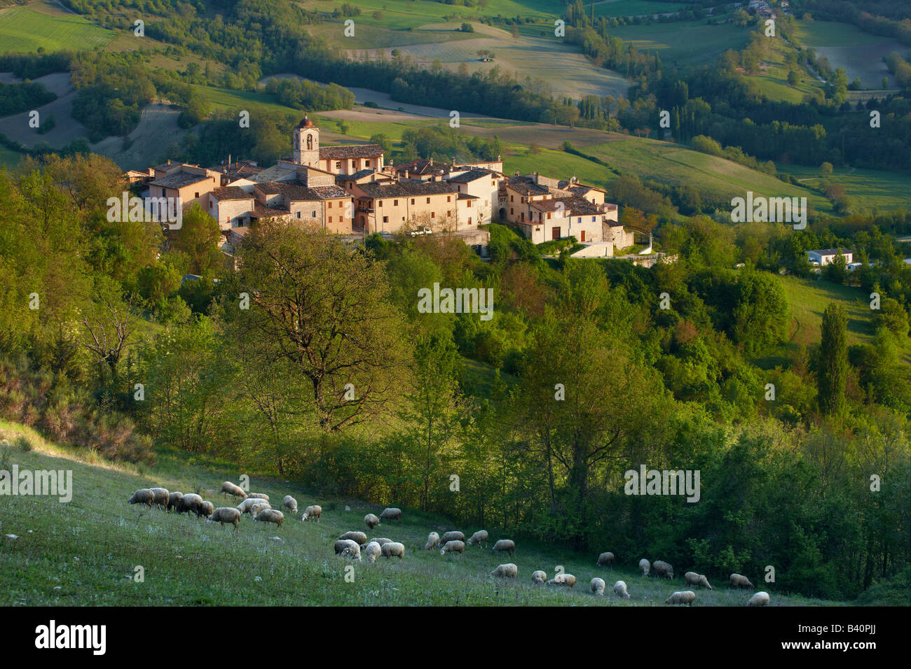Sheep housing hi-res stock photography and images - Alamy
