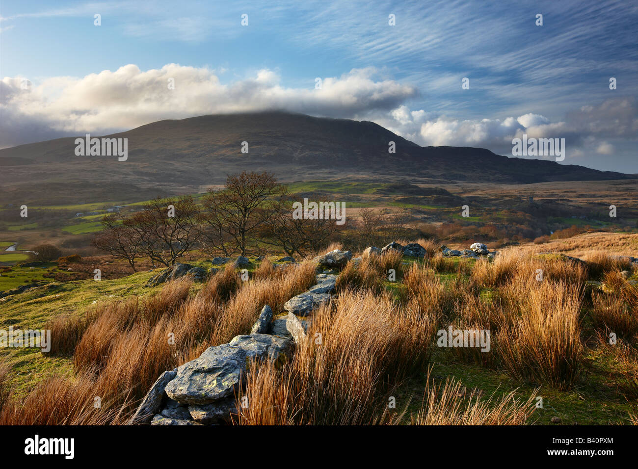 Into landscape hi-res stock photography and images - Alamy