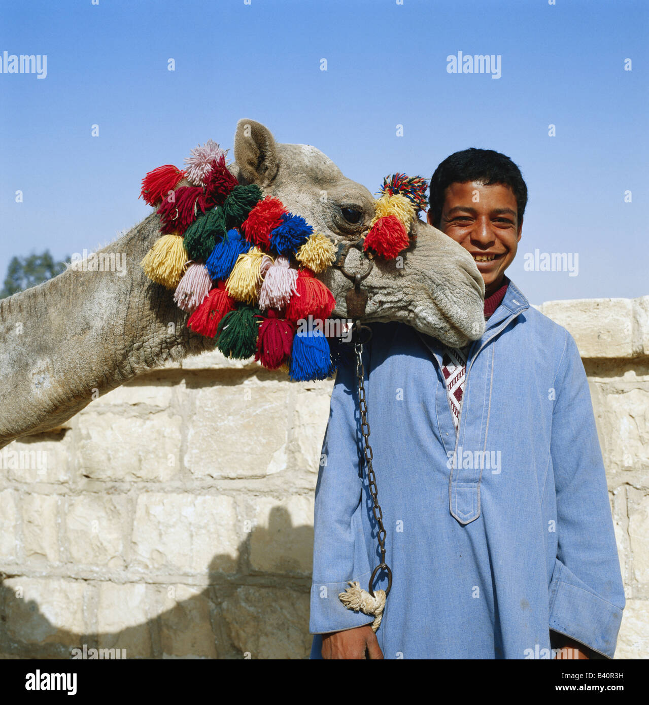 Young egyptian camel keeper Giza Cairo North Africa Stock Photo - Alamy
