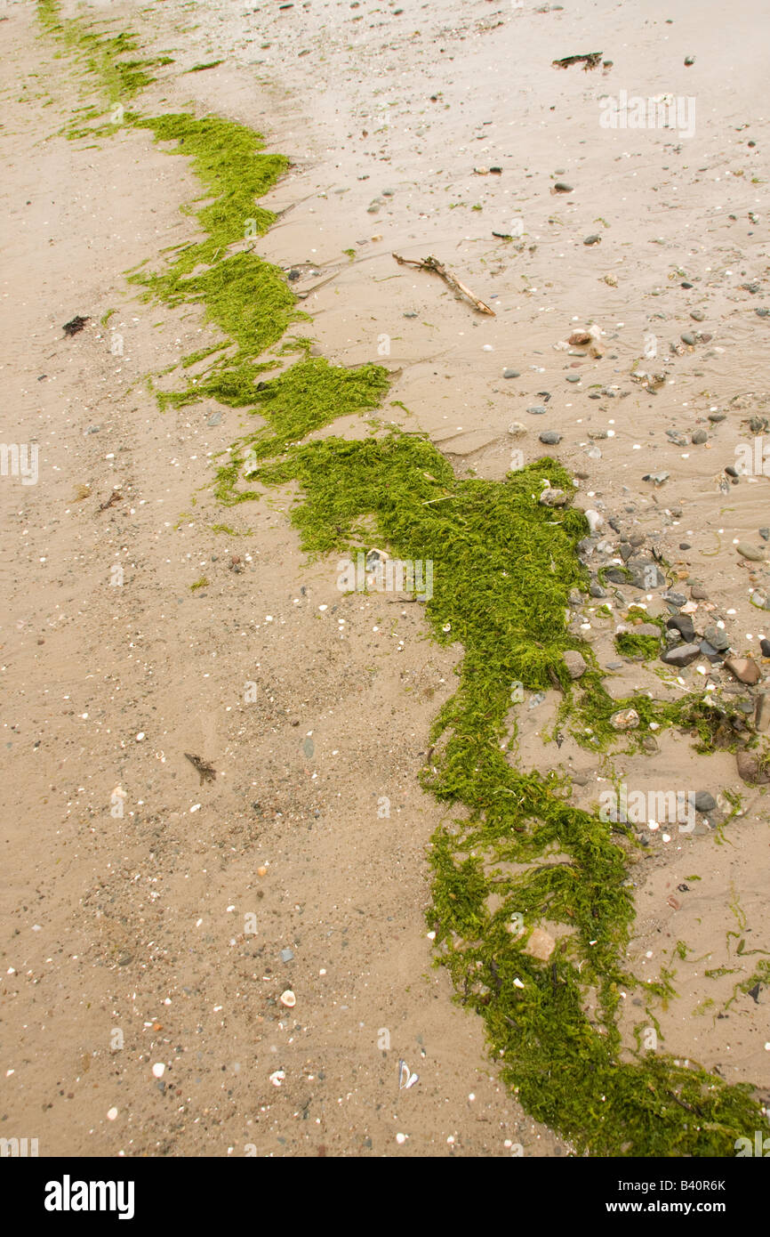 Tide line hi-res stock photography and images - Alamy