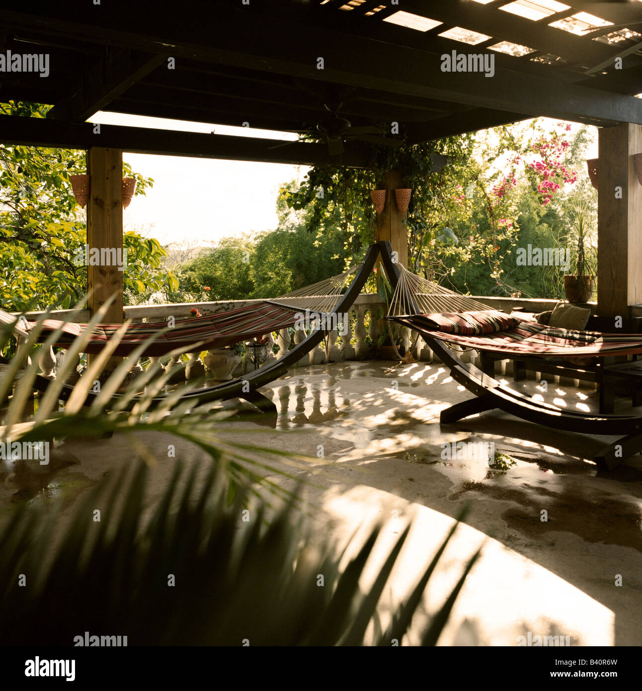 Hammocks at Hacienda Siesta Allegre, Puerto Rico Stock Photo - Alamy