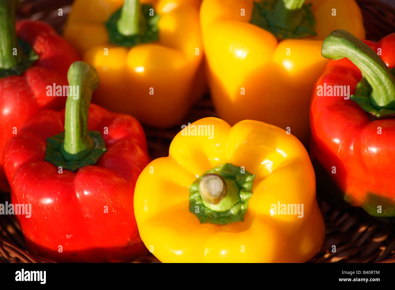 Capsicum india hi-res stock photography and images - Alamy