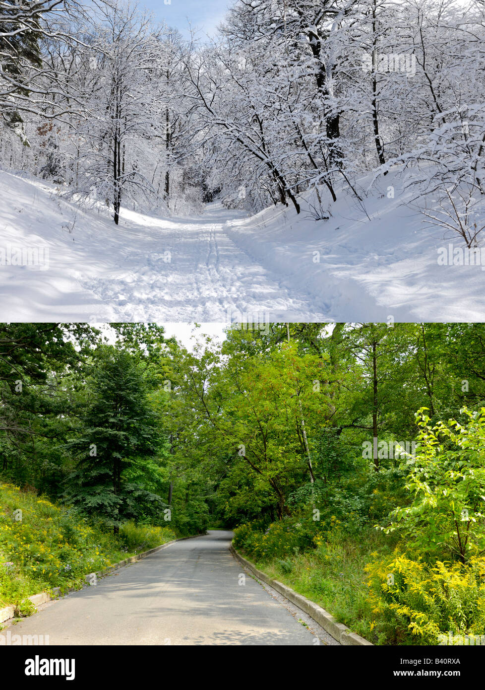Ontario summer landscapes hi-res stock photography and images - Alamy