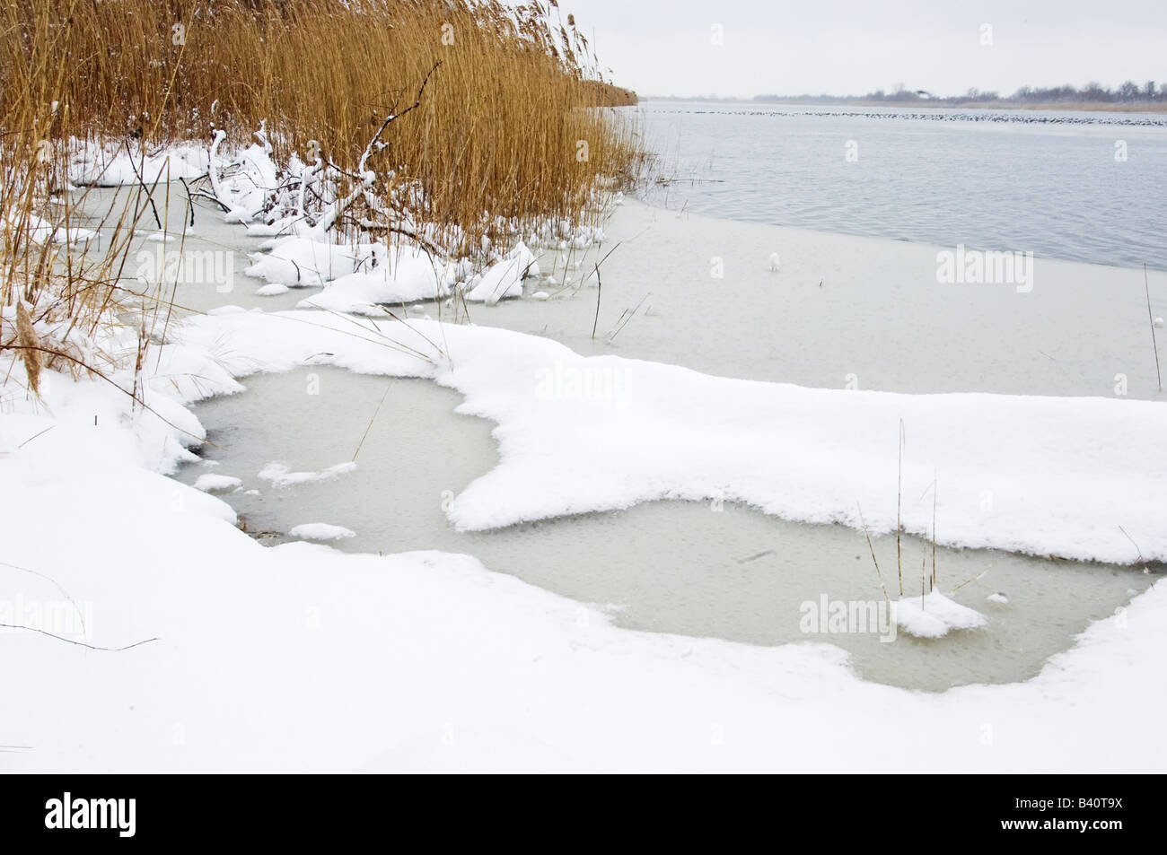 Frozen salt marsh hi-res stock photography and images - Alamy